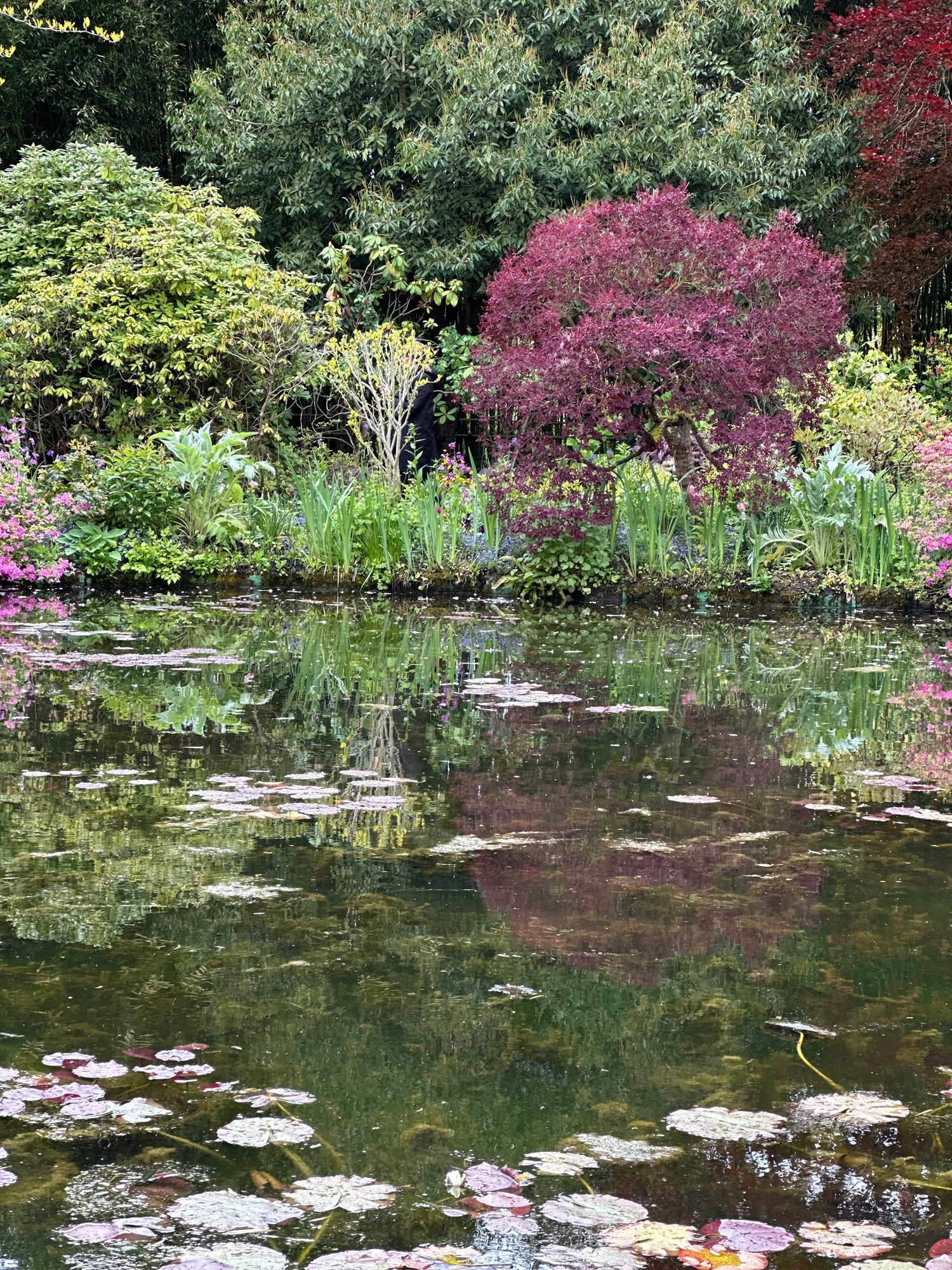 Claude Monet – Faith Berger